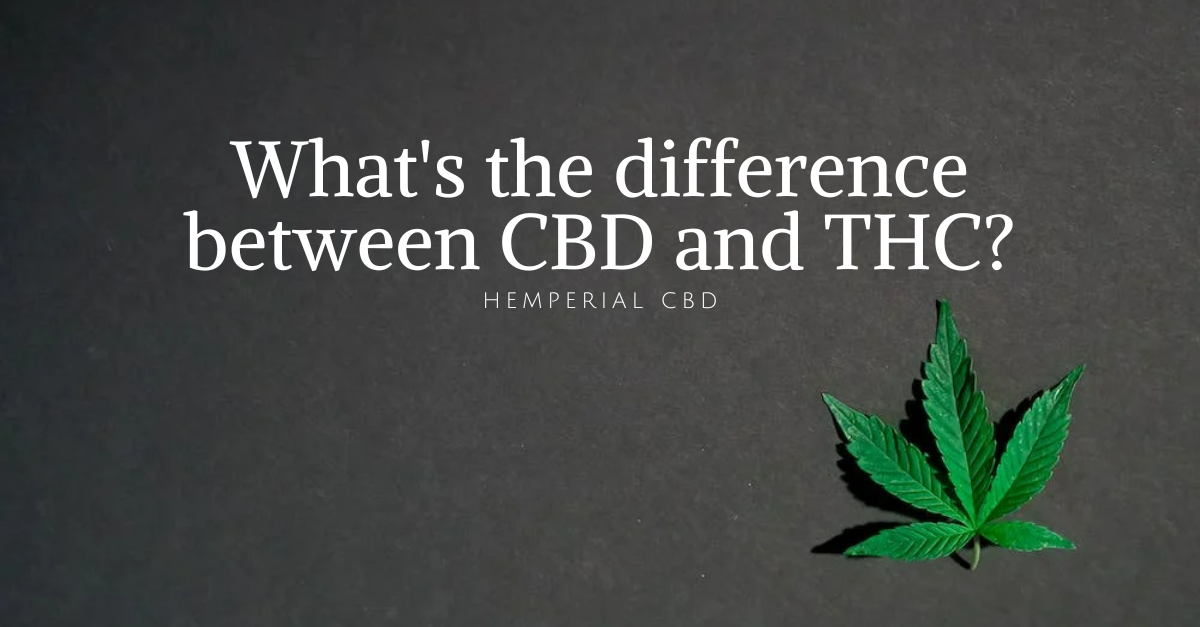 Cbd Vs Thc Whats The Difference Between Cbd And Thc Hemperial Cbd